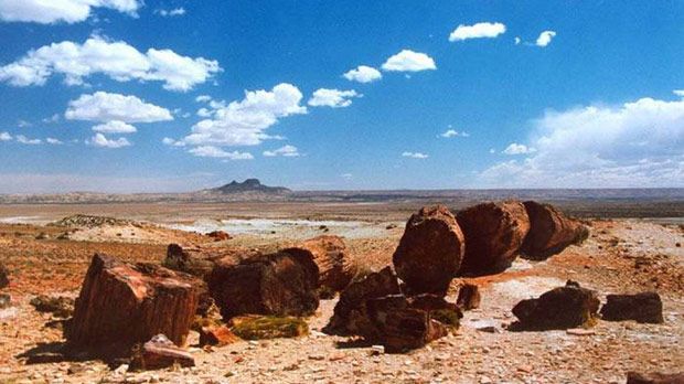Bosque Petrificado de Jaramillo