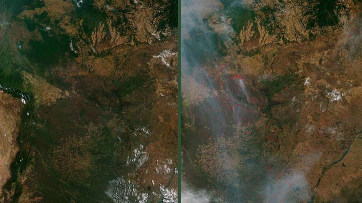 El antes y el después de los incendios en Amazonas