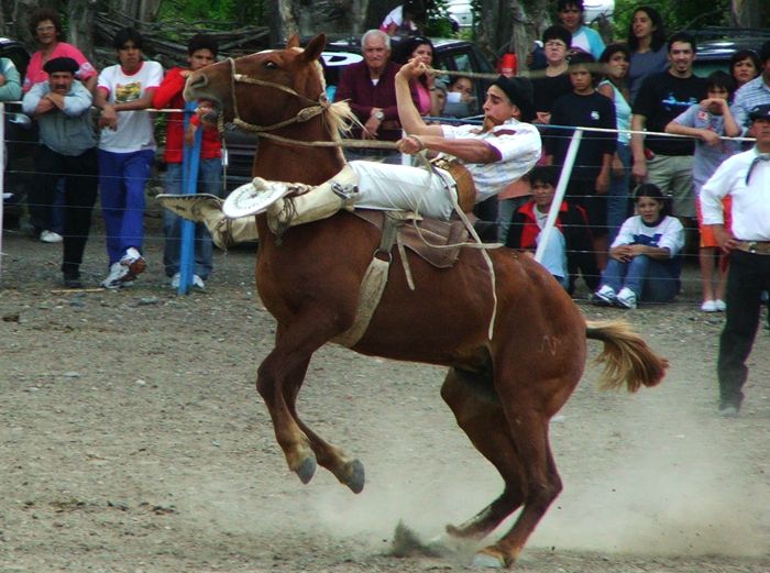 Un jinete de Puerto Madryn salió campeón en Jesús María