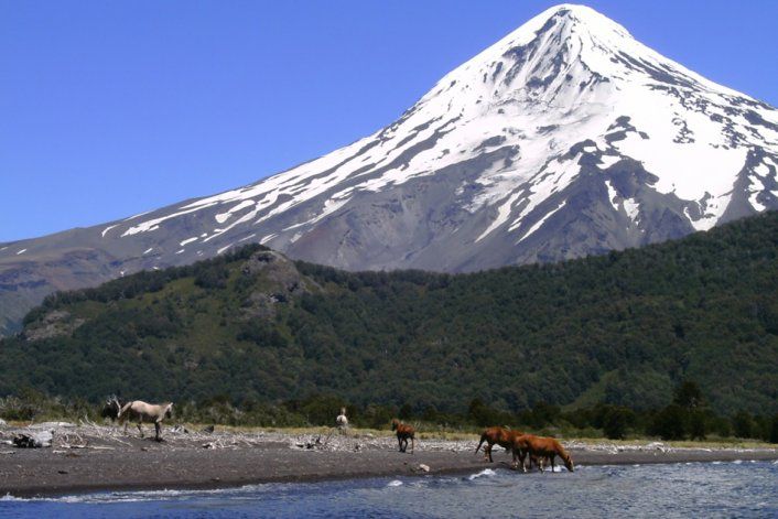 Parque Tromen: un destino que lo tiene todo en el norte neuquino
