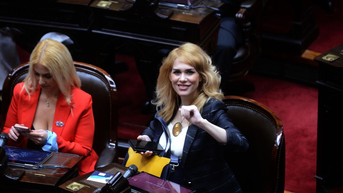 Lemoine negó haber firmado el proyecto de ley para derogar el aborto Lemoine negó haber firmado el proyecto de ley para derogar el aborto