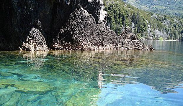 Bosque Sumergido en Villa Traful