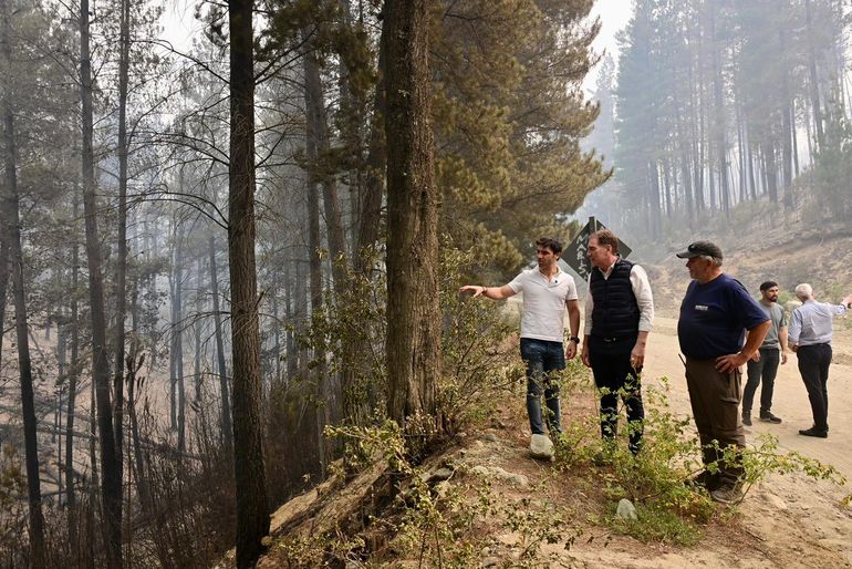Ofrecen 50 millones por los responsables del incendio