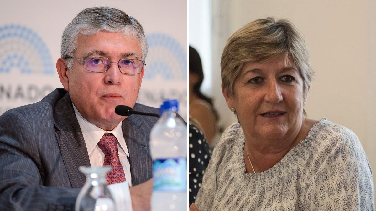 Senadores piden que se derogue el decreto Senadores piden que se derogue el decreto