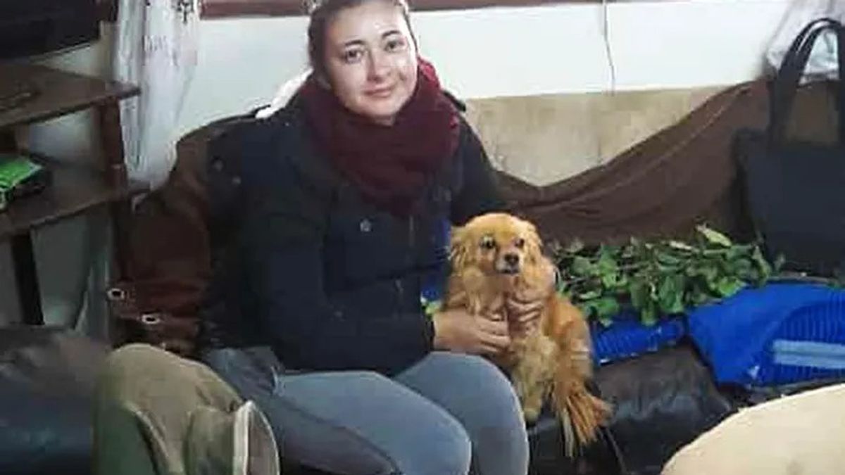 La historia de la perrita que sentará precedentes