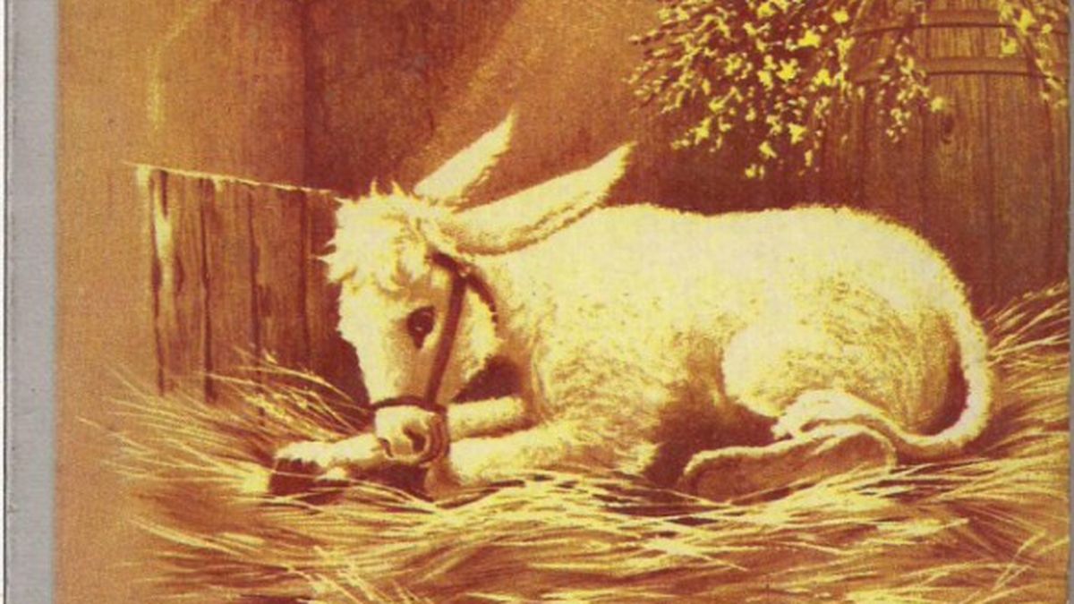 “Platero y yo” cumple cien años
