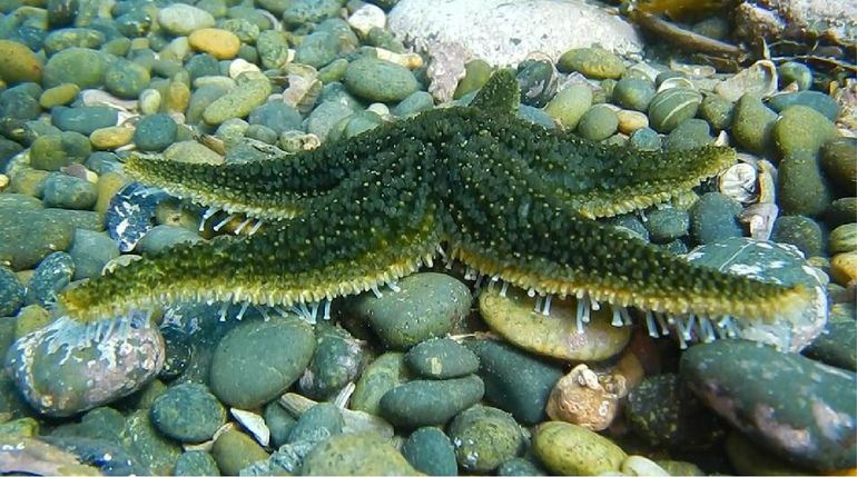 Termap y UNPA avanzan con una alianza para estudiar la costa caletense