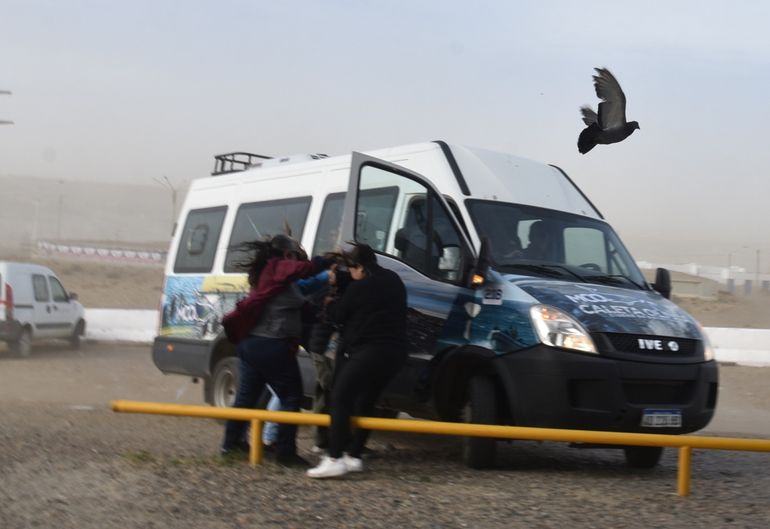 El monstruo climático dejó un tendal de destrozos en Caleta