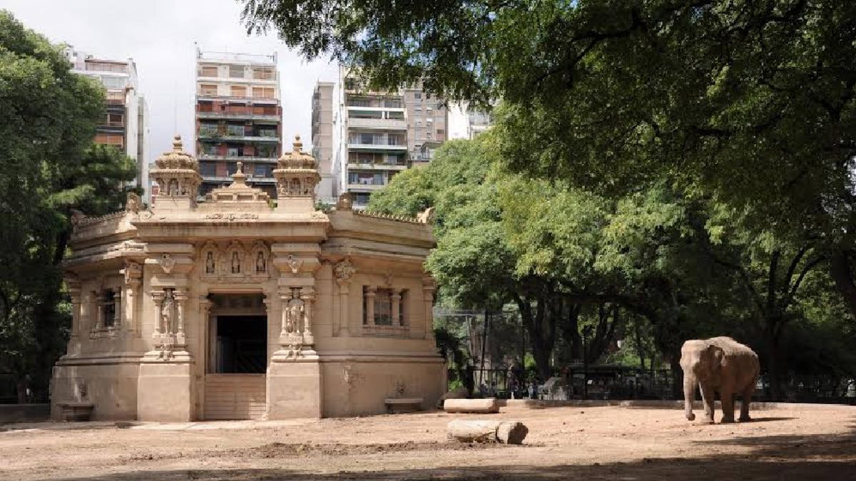 Hoy inauguran el Ecoparque donde funcionaba el Zoo