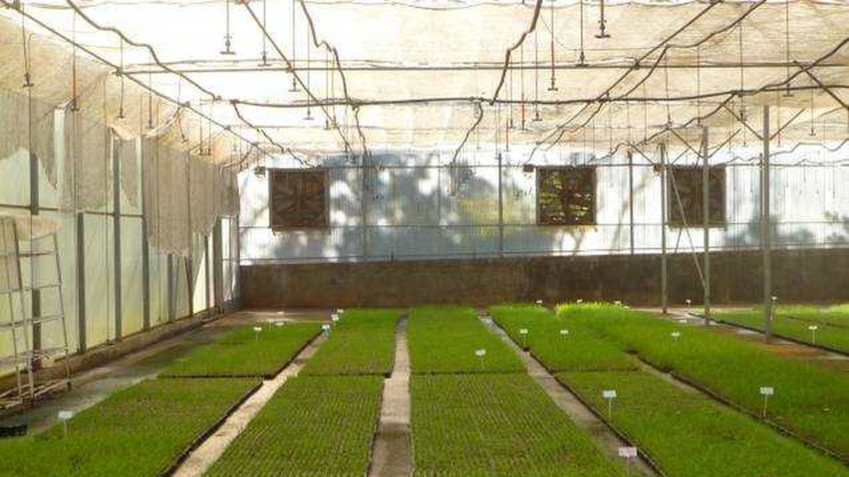 Buscan crear una biofábrica en la comarca andina