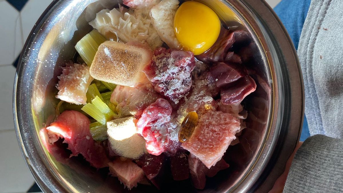 Dieta BARF: promover la alimentación natural para perros y gatos