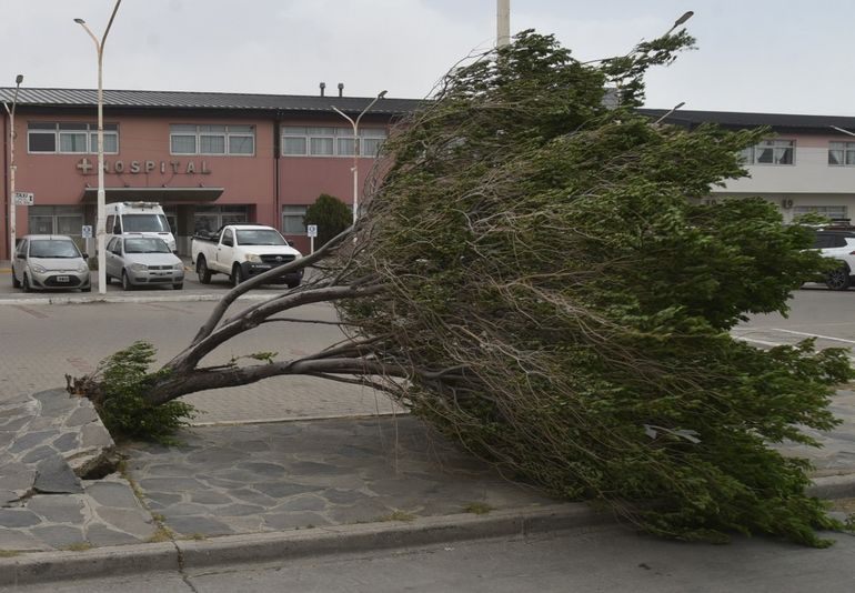 El monstruo climático dejó un tendal de destrozos en Caleta