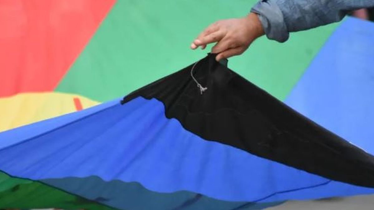El presidente del INAI y mapuches, enfrentados por la bandera indígena