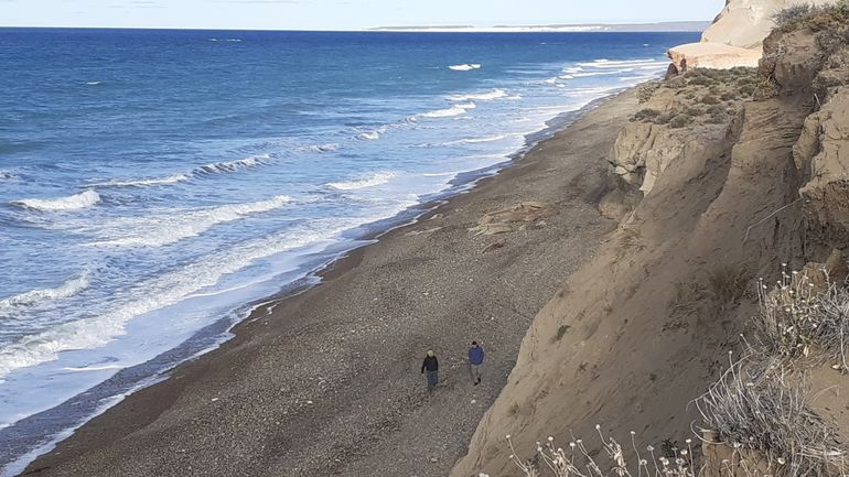 Termap y la UNPSJB elaboran Mapas de Sensibilidad Ambiental