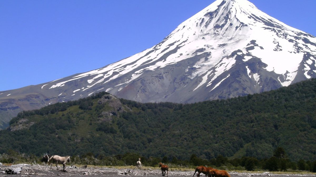 Parque Tromen: un destino que lo tiene todo en el norte neuquino