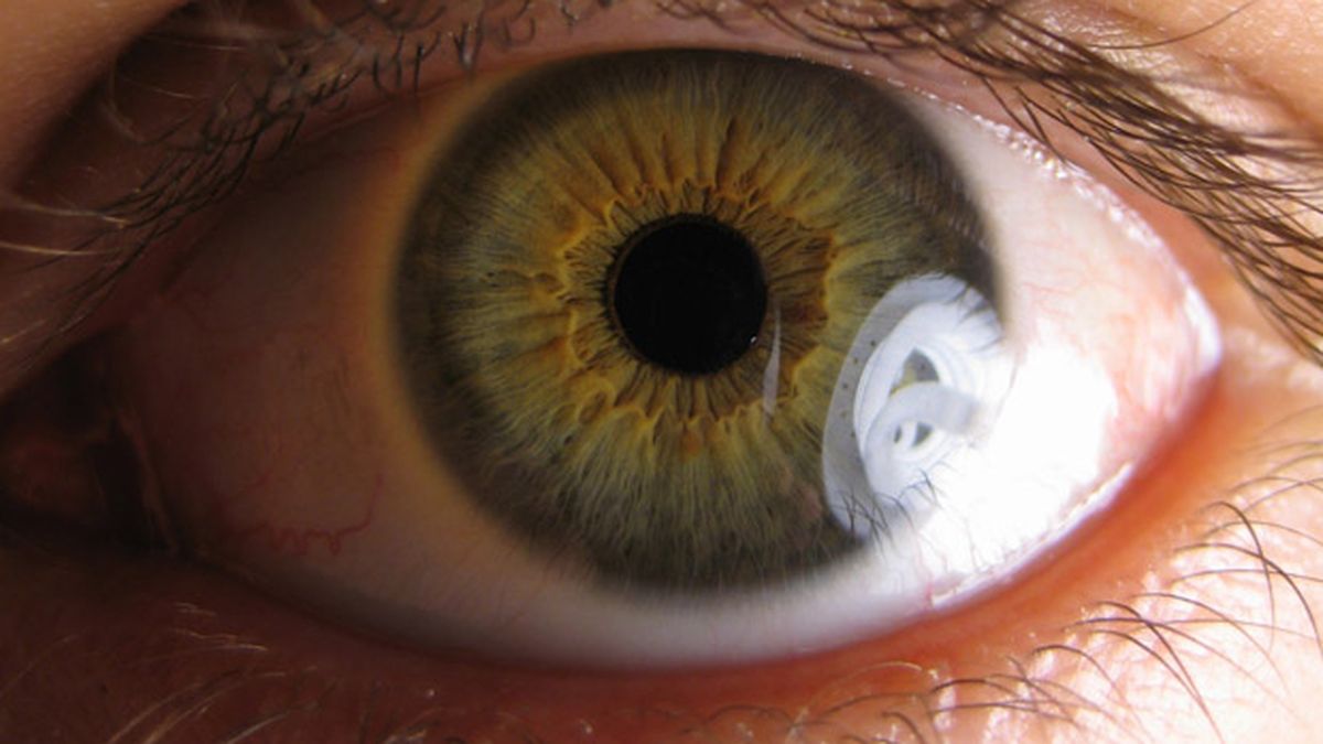 Científicos argentinos diseñan un film bioadhesivo ocular para ...