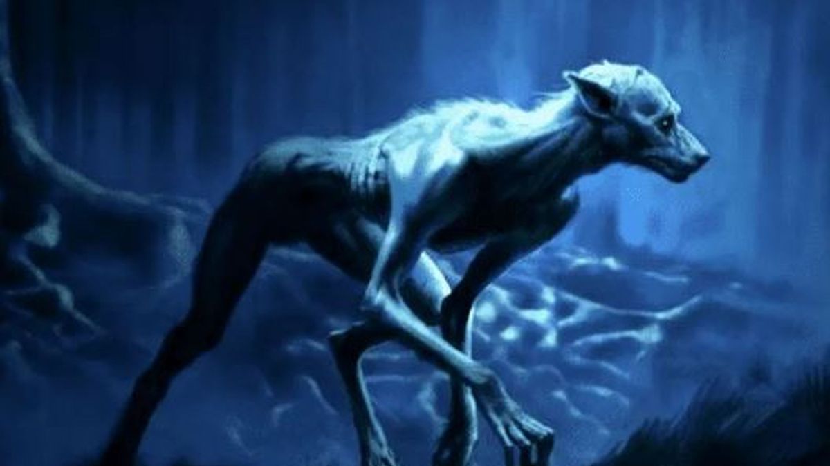 ¿Qué es el Ucumar?, el animal mítico del norte argentino