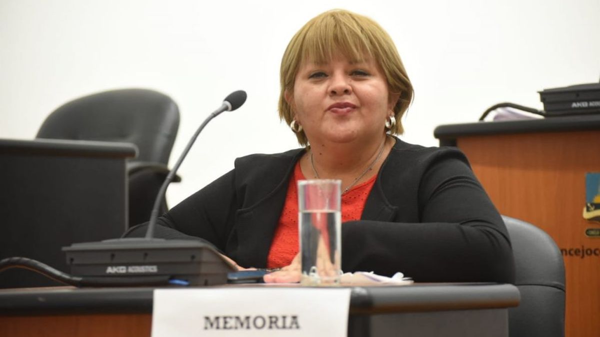 Una concejal quiere subsidiar las tarifas eléctricas